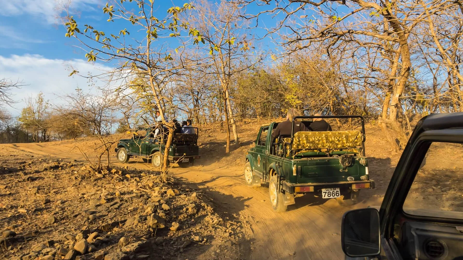 Dev Farm – Sasan Gir