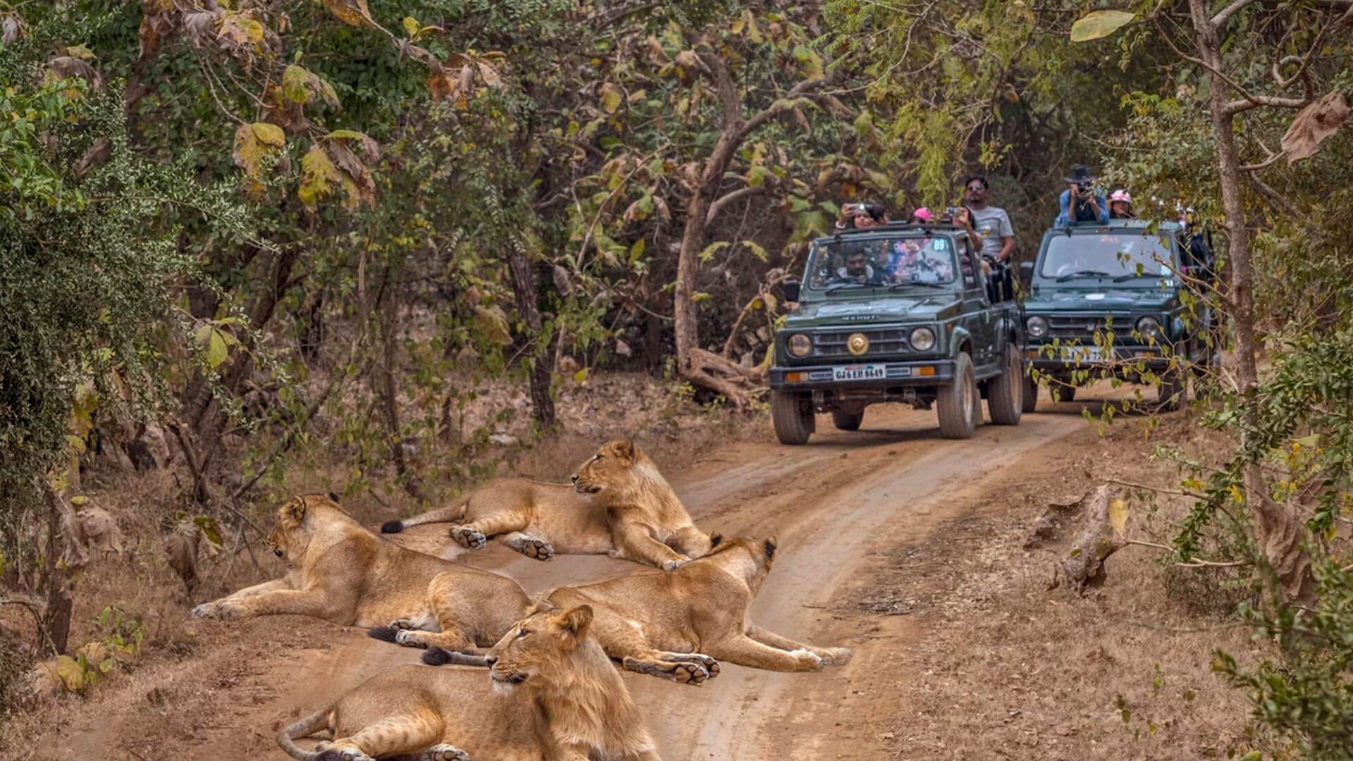 Dev Farm – Sasan Gir